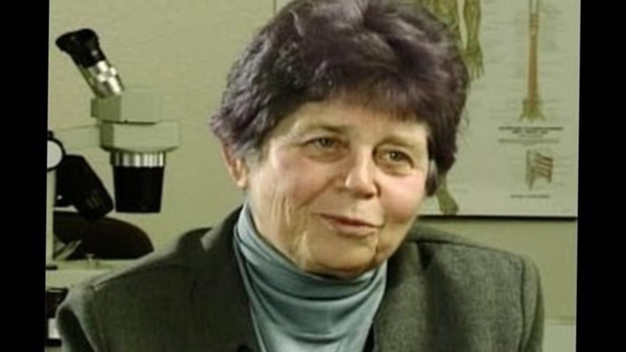 ¿Qué terapias se pueden hacer con el Zapper Clark? - Merlin Salud