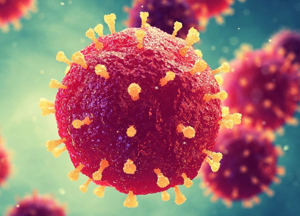 ¿Vale la pena comprar un Zapper? - Merlin Salud